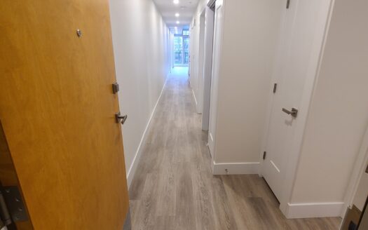 Olympus Properties Limited